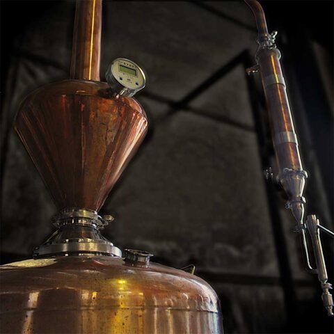 Down South's Incredible Story - Over 2 years in Aldinga